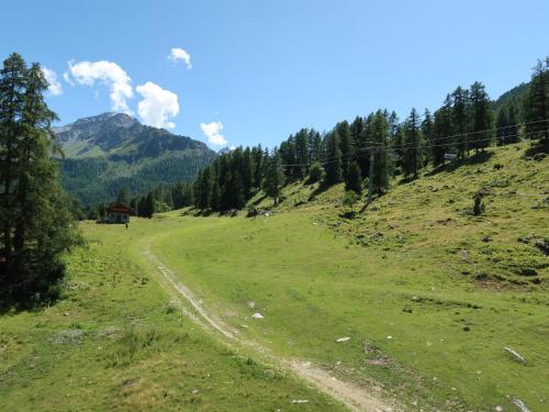 Apartment Mont-fort-28 By Interhome - Nendaz