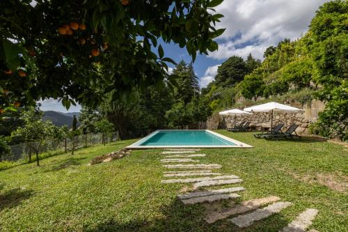 Casas Do Capitao - Paiva Valley - Pool And Nature - Castelo de Paiva