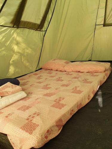 Camping A Selinunte (Relax Fra Gli Ulivi) - Szicília