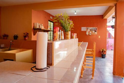 Casa Sofia Guest House - San Cristóbal de las Casas