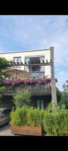 Lovely 1 Bedroom Apartment With Garden No Smoking - Ámsterdam