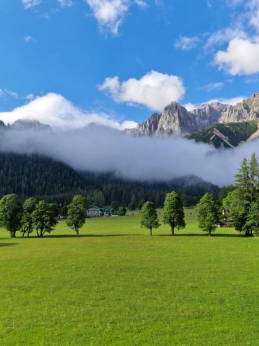 Family Appartment - Dachstein View - Ramsau am Dachstein