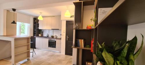 Ioana Apartment Resita - Reșița