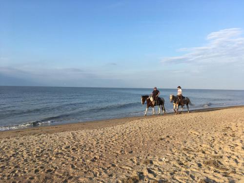 Family stay 200m from beach 3 bedrooms 2 bathrooms nice terrace - Location saisonnière, Maria ...