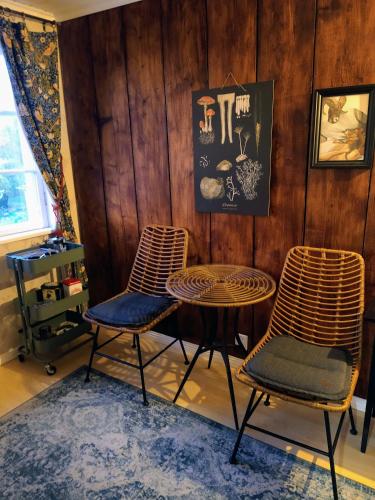 Viinikan Tahti Lemmikkiystavallinen Kotimajoitus - Tampere