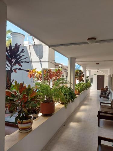 Hotel San Diego - Yopal