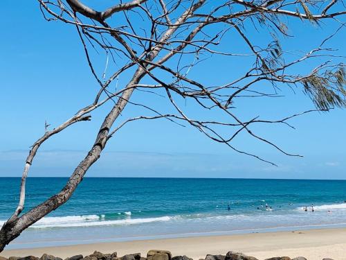 Billys Beach House Elliott Heads, Australia - reviews, prices | Planet ...