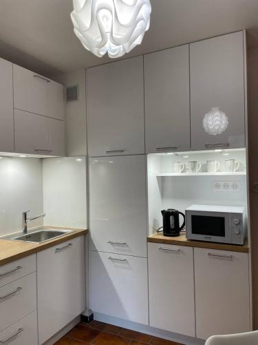 Cozy Appartement Halles Strasbourg - Strasbourg
