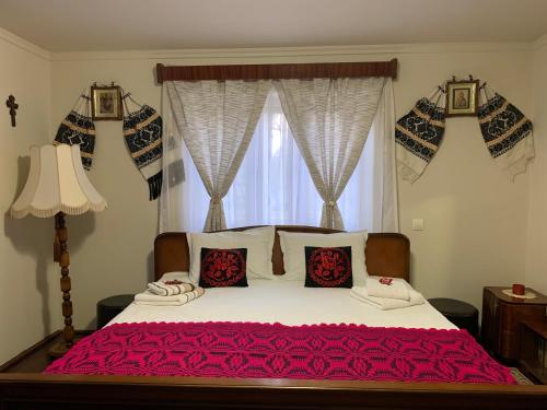 Casa Lui Mosu - Transylvania