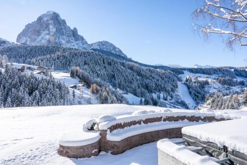 Chalet Villa Carolina - Alpe di Siusi