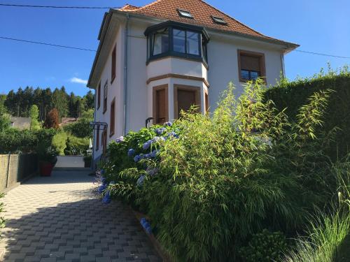 Les Magnolias En Alsace - Meuble De Tourisme 3 Etoiles - Schirmeck