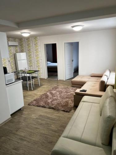 Apartament 9 Central - Targu Mures