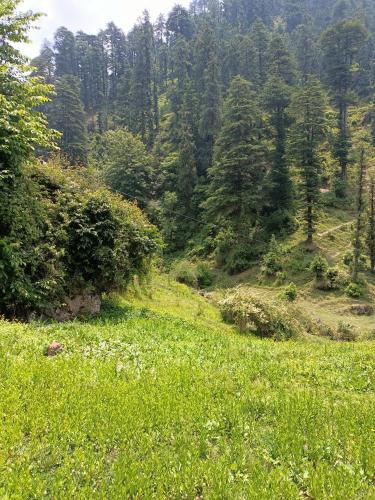 Lokhandi Sunrise Hotel by Suryam Resorts Chakrata in Chakrāta, India ...