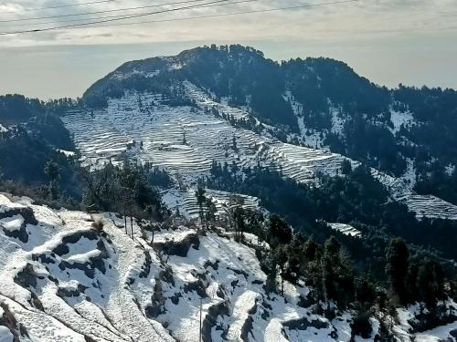 Lokhandi Sunrise Hotel by Suryam Resorts Chakrata in Chakrāta, India ...