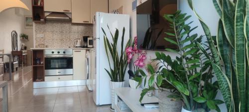 Thalassa Seaside Boutique Beach Apartment - Полис