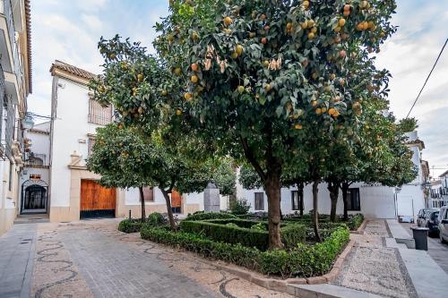 Juderia Suites - Córdoba