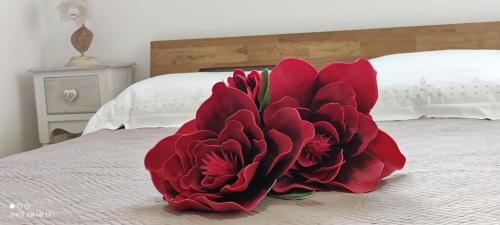 Daniel's Home - Trapani