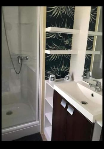Mobil Home 4-6 Personnes Bord De Mer Argeles Sur Mer Camping Equinoxe - Argelès-sur-Mer