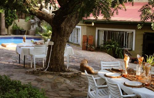 Enchanting Self-catering Villa With Queen Bed At Bokmakierie Villas - Windhoek