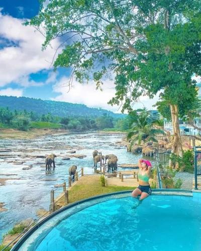 Hotel Elephant Bay in Pinnawala from $45