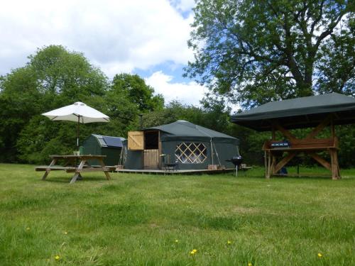 Chestnut Yurt - West Sussex