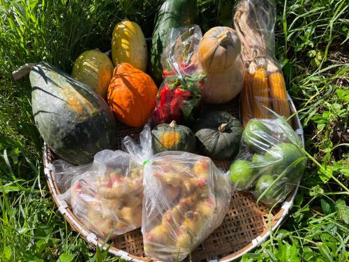 Shimanto Riverside Hideaway, Japan - reviews, prices | Planet of Hotels