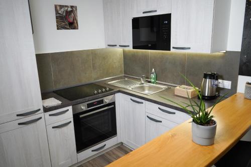 Hofmann Apartment - Waldsassen