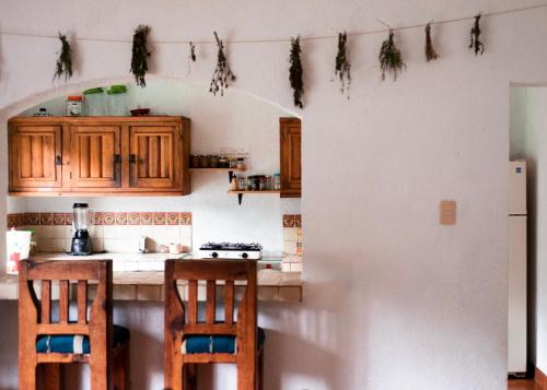 Hostal Tribu Malinalco - Morelos