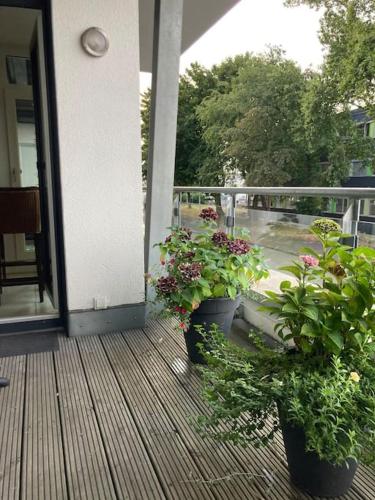 Ferienwohnung In Der Nahe Von Koln - Frechen