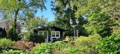 Guesthouse Vakantiehuis In Een Mooie Tuin In Het Centrum Van Zuidlaren! - Drenthe