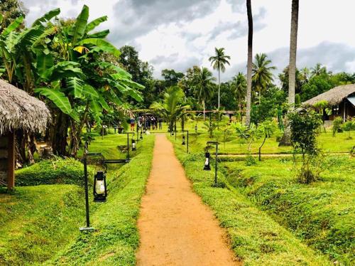 Coco Garden by Dasa - Kuliyapitiya, Sri Lanka - Updated 2026: Hotel ...