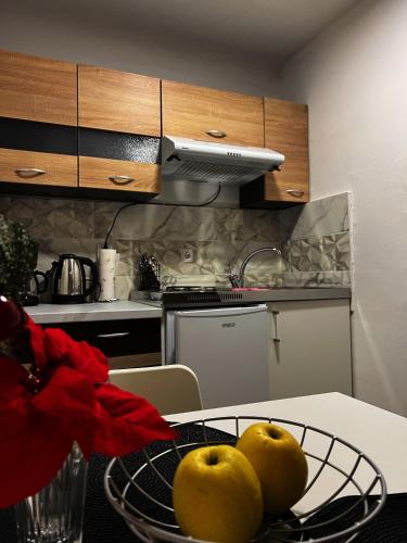 Studio Apartman Rijeka - Rijeka