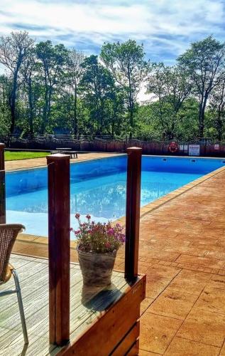 Ranger - Snowdon Cabins Holiday Let Caernarfon - Wales