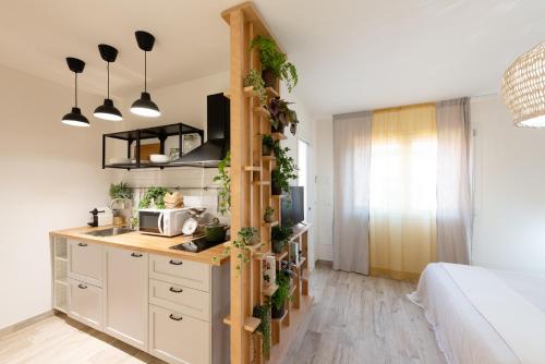 Botanic Guesthouse Este - Este