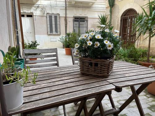 Nesea Home - Syracuse