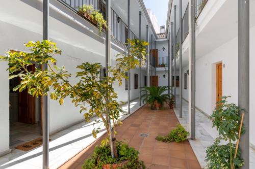 Apartamento Con Garaje, Centro De Sevilla - Siviglia