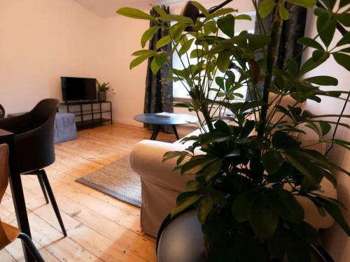 Naturlich Mit Stil - 24-7 Und Check-in - Kiel