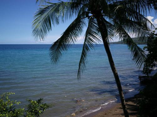 4 Best Beach Resorts In Catmon, Philippines | Trip101
