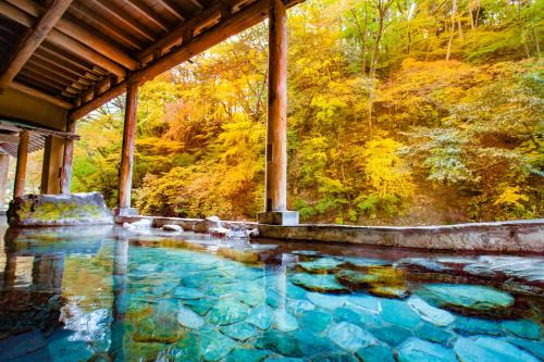 Watch the clear stream of Shima River from the giant open-air bath at ...