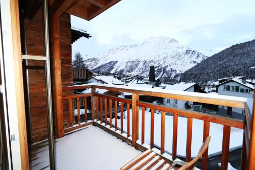 Symbiose - Saas-Fee