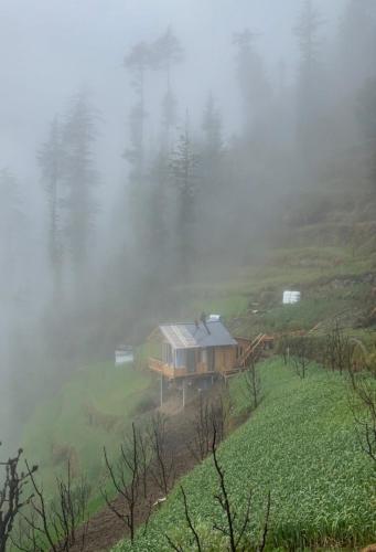 Cloudwalk Treehouse - Jibhi, India - Updated 2026: Prices and reviews ...