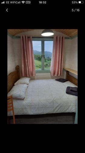 Shepherds Hut Lowri - Dolgellau