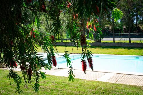 Hotel Rural Quinta do Juncal in Serra De El-Rei from $51