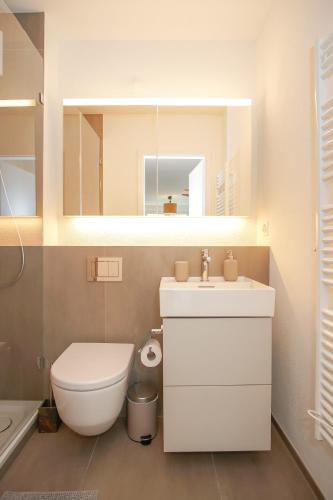 Stylish Apartment With Free Baselcard - Basel