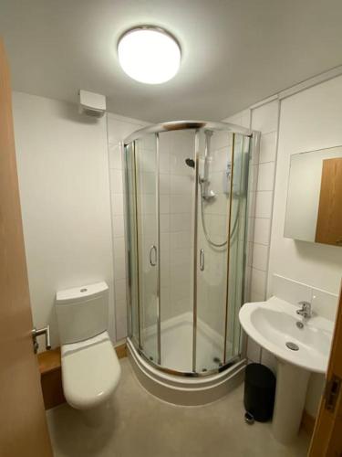 Spacious 1 Bedroom Apartment In Norwich City Centre Apt 9a - Norwich