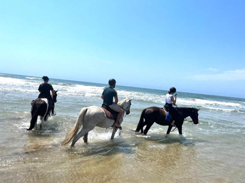 11 Best Hotels in Centane, South Africa