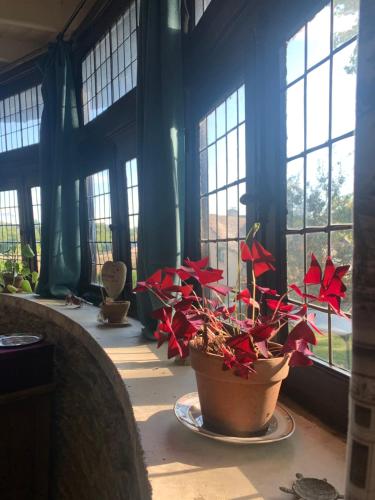 Bed And Breakfast A Rochefort-en-terre - Rochefort-en-Terre