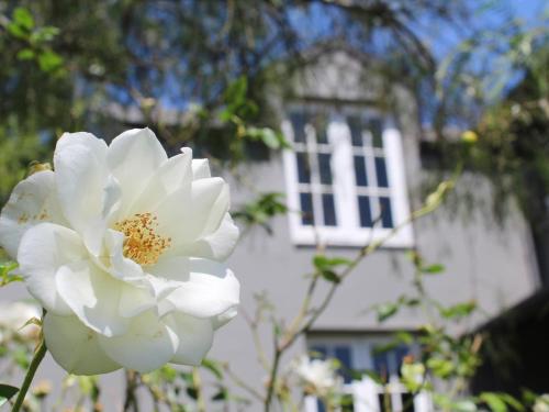 Arumvale Country House - Swellendam