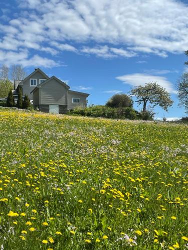 Secluded Holiday Home, With private beach Deals & Reviews, Alesund ...