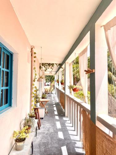 Barco Verde Hostel - Isla Holbox